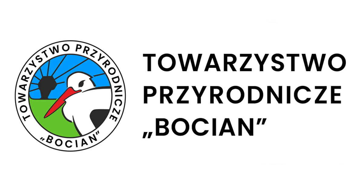 Bocian biały
